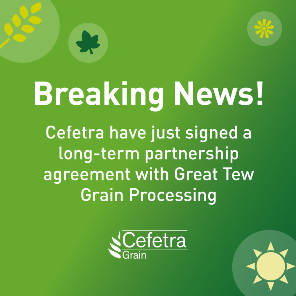 Cefetra Grain - OWB Creative