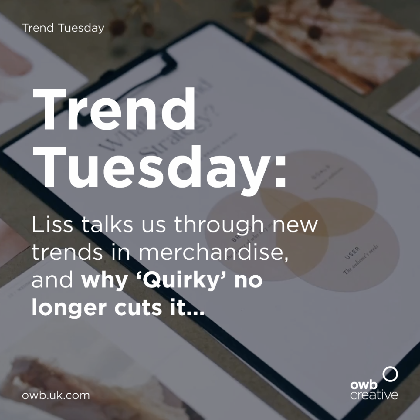 Trend Tuesday: New trends in merchandise and why ‘quirky’ no longer ...